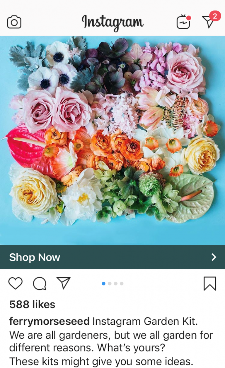 How to Write Instagram Captions In 2021 – A Guide For Brands And ...